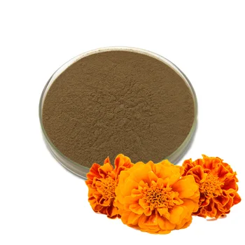 Natural Marigold Flower Extract 5% Lutein Powder For Eyes Care - Buy High Quality Lutein ...