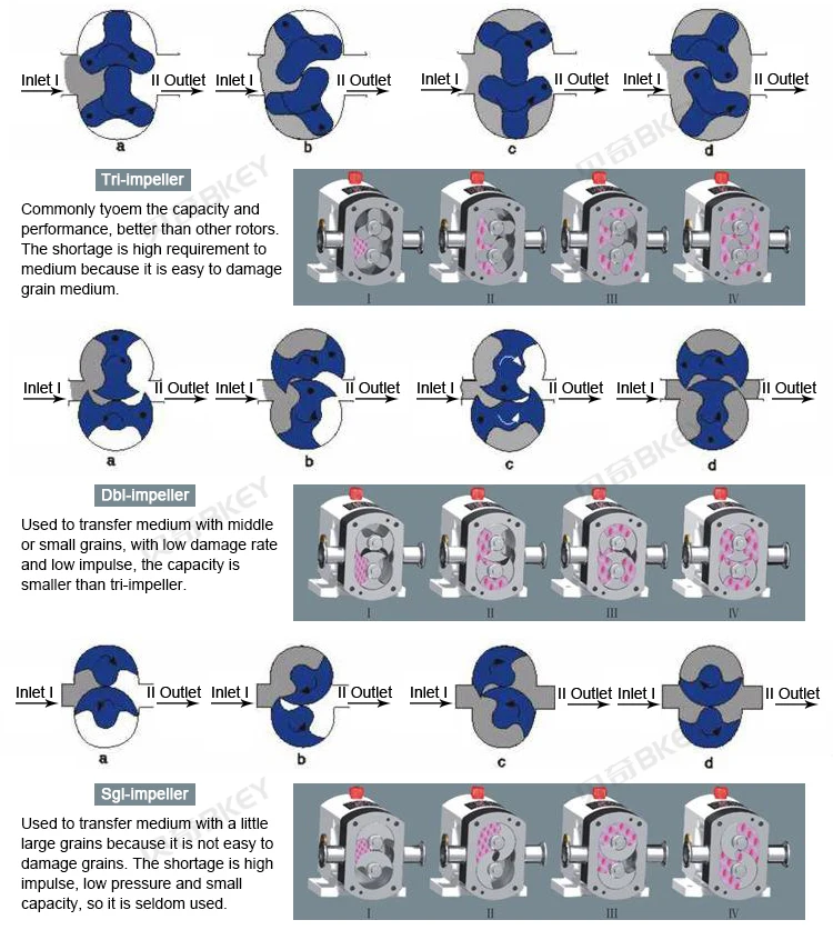 Lobe Pump-official website