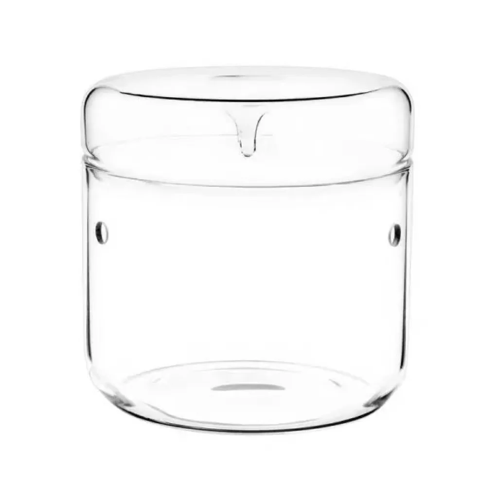 OEM Hand Blown Clear Borosilicate Glass Terrarium Vase
