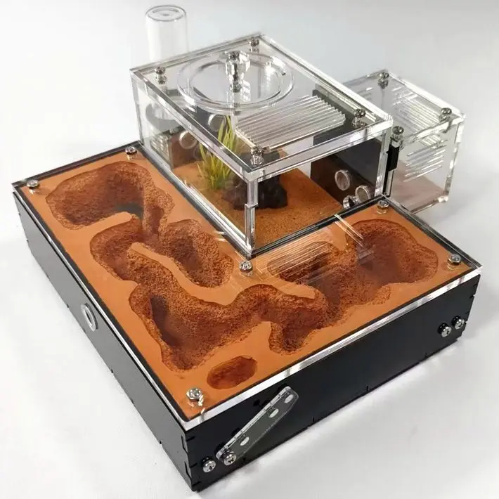 Gypsum Ant Farm Nest Formicarium - Eco-Friendly Square Ant Nest for ...