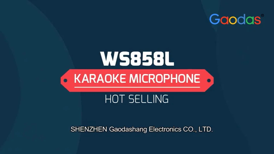 Best Ws858l With Light Usb Megaphone Portable Wireless Mic Karaoke Microphone With Speaker For ...