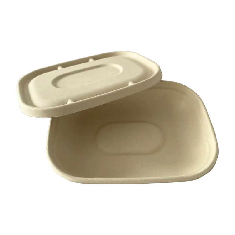 Round Corner Disposable Sugarcane Pulp Lunch Box Leakproof Shallow Food ...