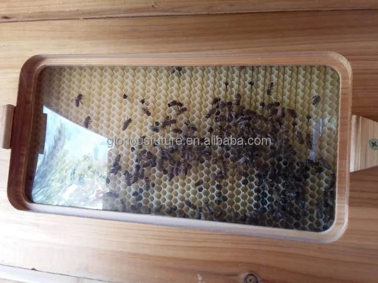 Beekeeping Auto Bee Hive Frames Kit Flowing Self 7pcs Automatic Honey ...