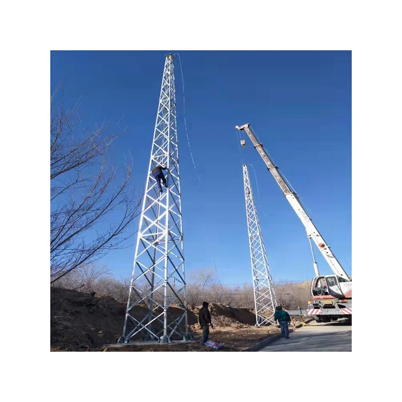 Lightning Protection/lightning Rod Tower/ Steel Lightning Rod Tower ...