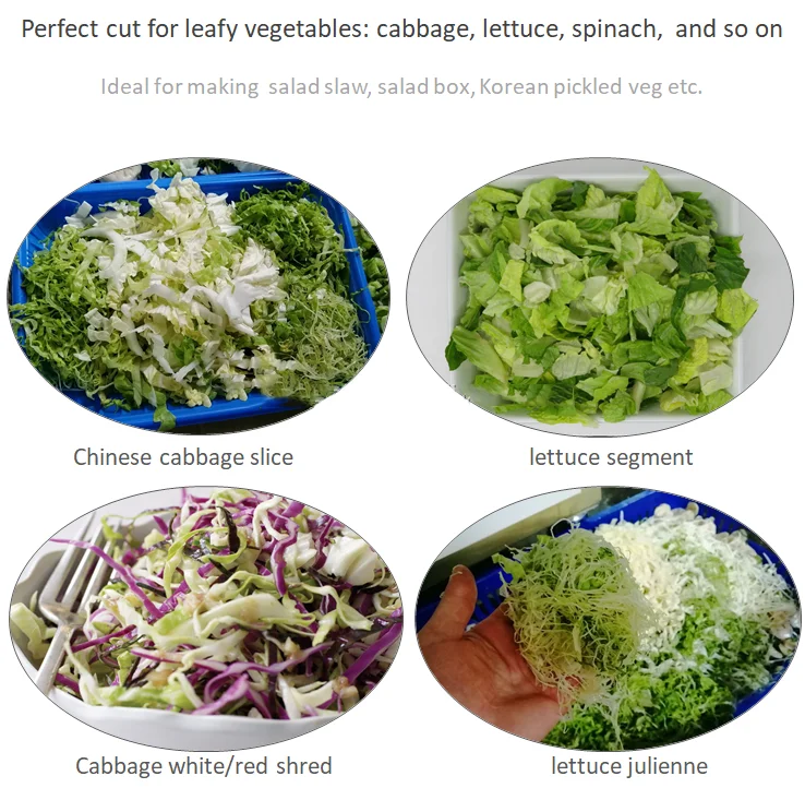 VEGETABLE CUTTING MACHINE - Efficient & Versatile Solutions