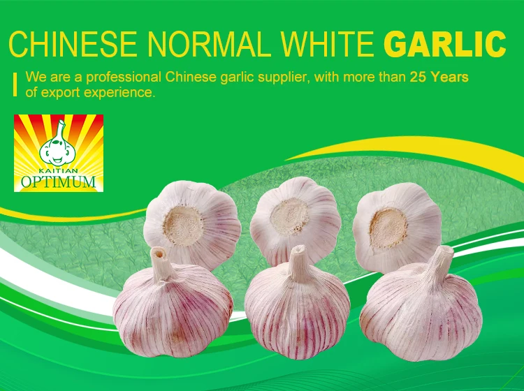 Optimum New Crop Fresh Garlic /chinese Garlic Supplier/10kg/mesh Bag ...