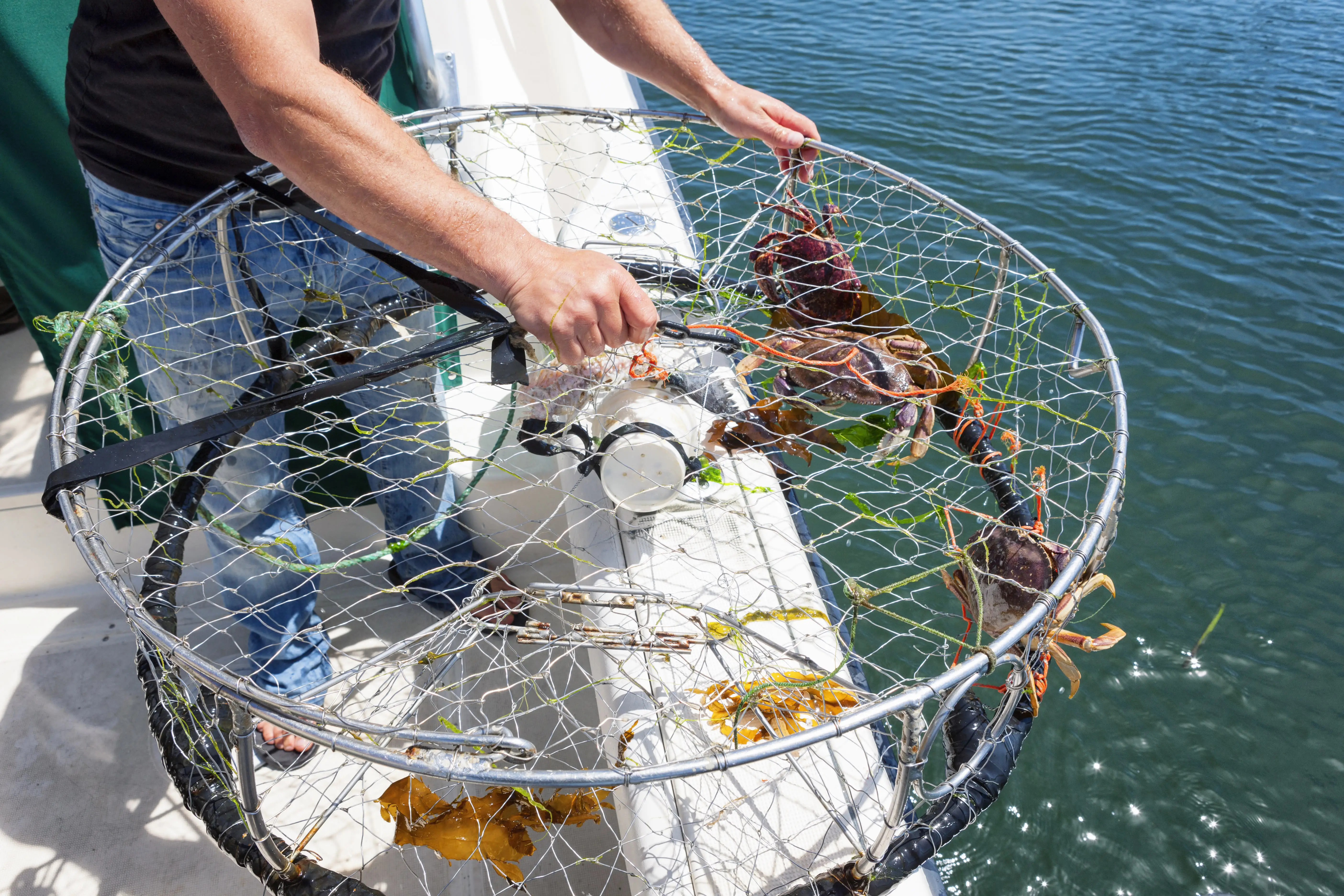 Factory Price Aquaculture Crab Traps Folding Fishing Nets Square ...