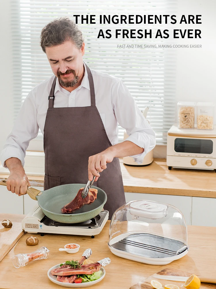 2022 New Defrosting Box For Faster Food De-icing Food-grade Meat ...