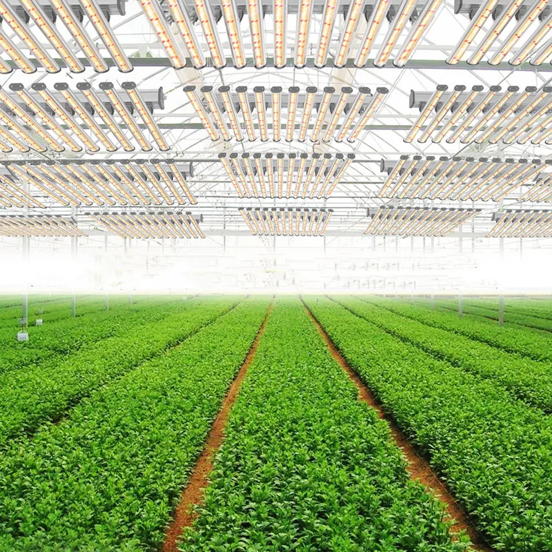 LUX China Factory Led Plant Lighting - Full Spectrum Grow Lights