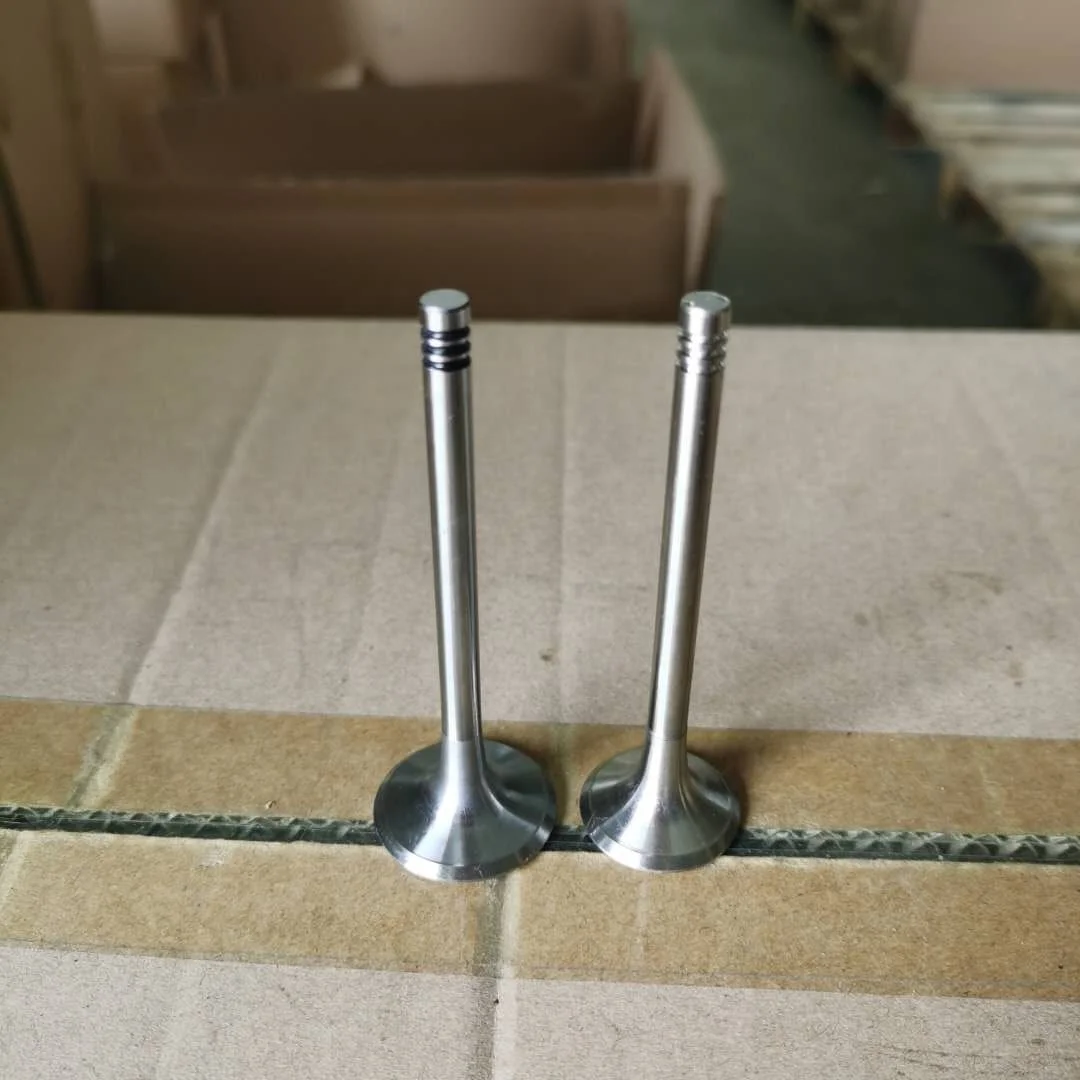 Car Engine Parts for 03L109601 03L109611 for Golf 2.0Tdi Engine Valve ...