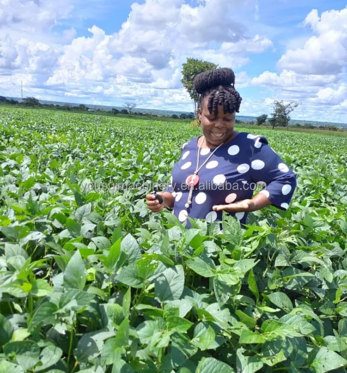 New Brand 15 Inch Soybean Planter For Sale - Buy Compact Corn Seeder ...