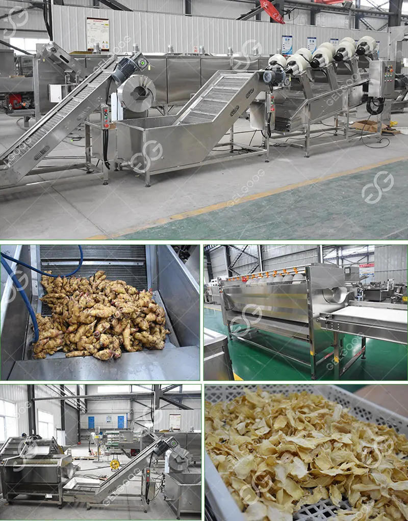 Automatic Dry Ginger Processing Line - Ginger Powder Machine