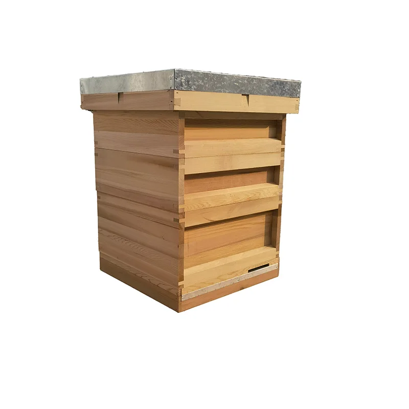 Western Red Cedar National beehive with flat roof Gable roof deep brood ...