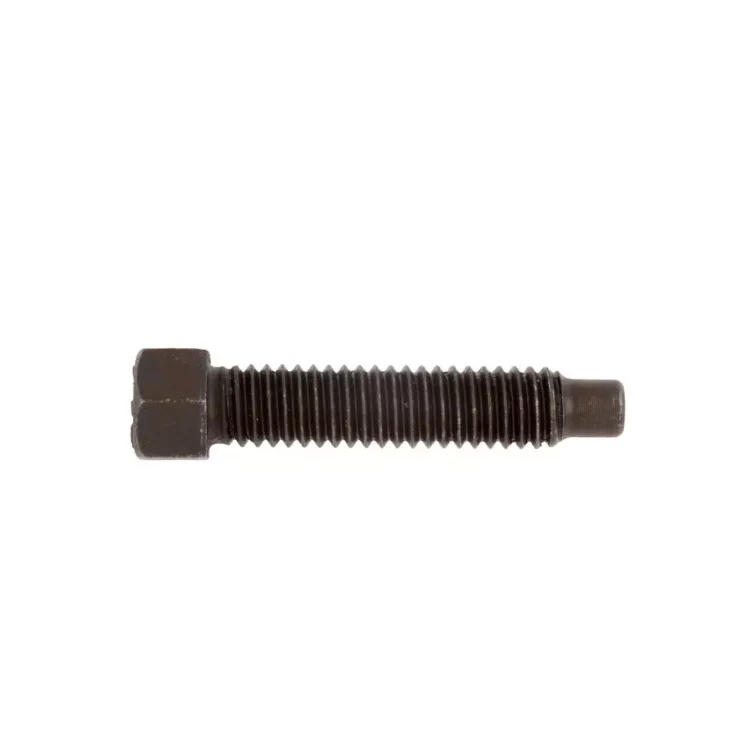 Din561 Hexagon Head Socket Full Dog Point Set Screw - Buy Set Screw dog Point Set Screw din561 ...