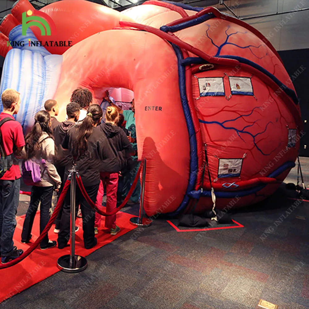 Inflatable Heart Tent - Educational Model for Medical Events