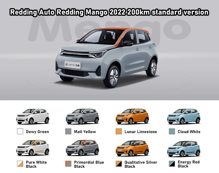 Letin Mango Mini Electric Car - High Performance & Efficiency