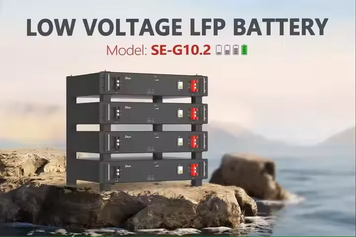 Deye SE-G10.2 Lithium Ion Batteries 10kwh 200AH LiFePO4 Battery Pack ...
