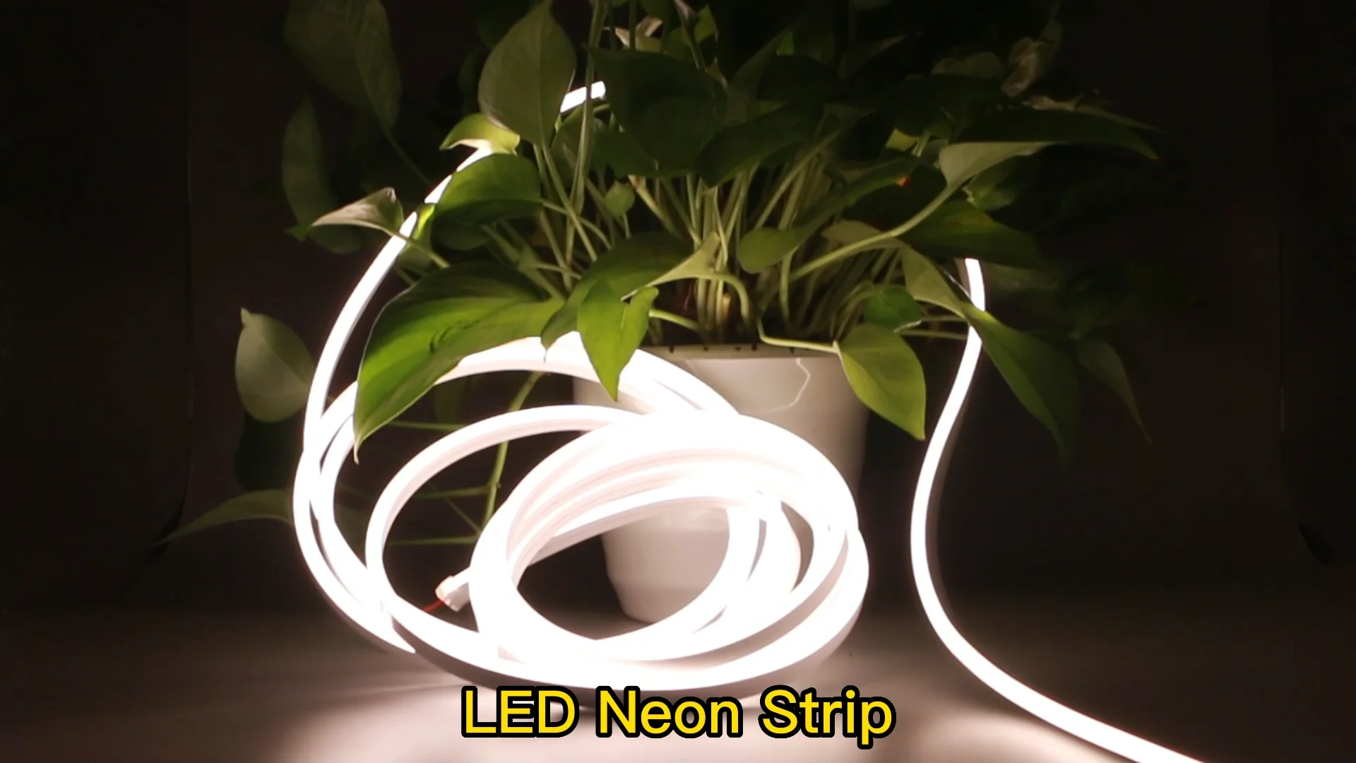 Silicone Strip Custom 04*10 12v 24v 2835 120leds/m Ip67 Flexible Neon ...