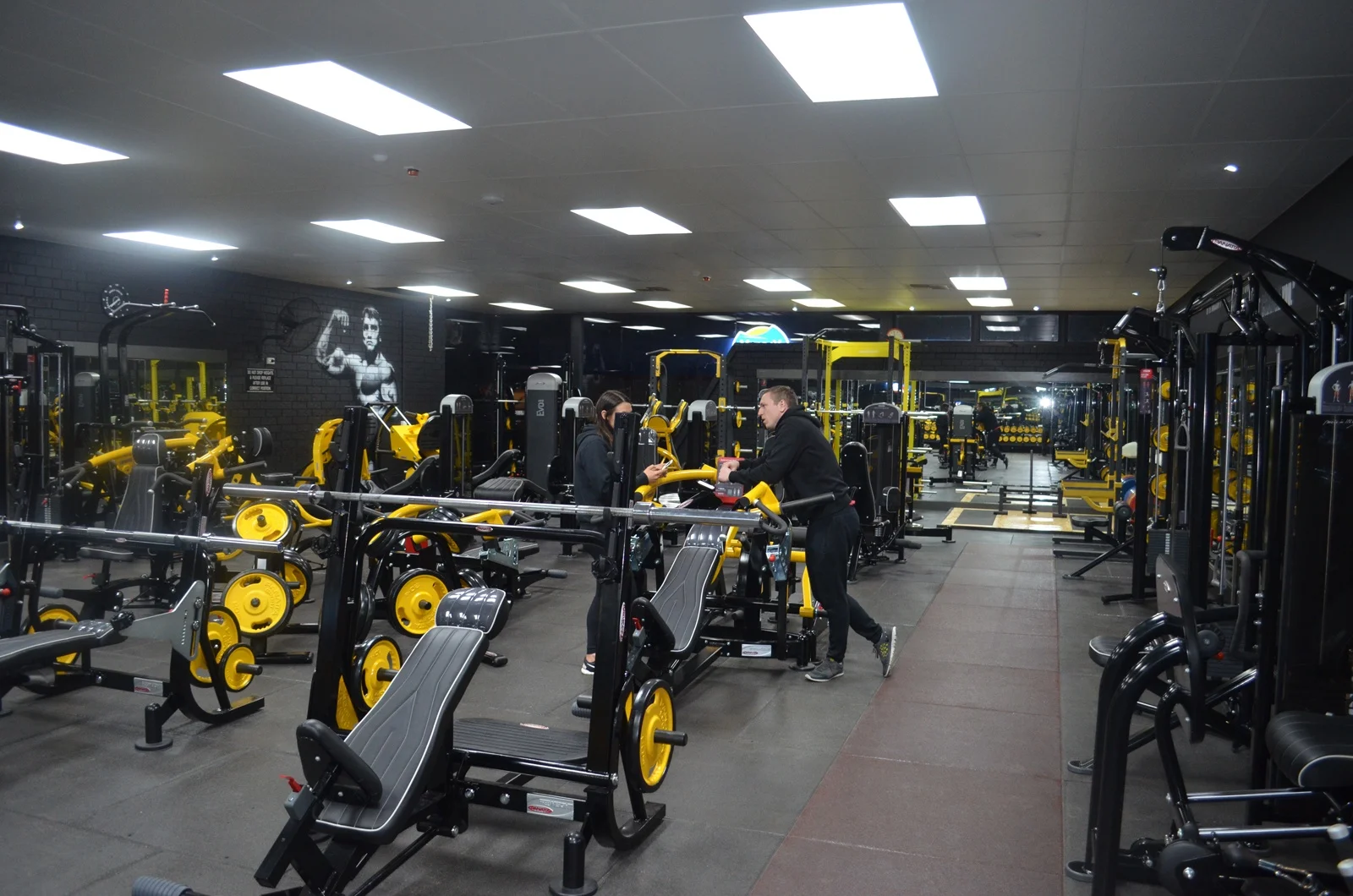 New Arrival Panatta Plate Loaded Gym Equipment Hip Belt Super Squat ...