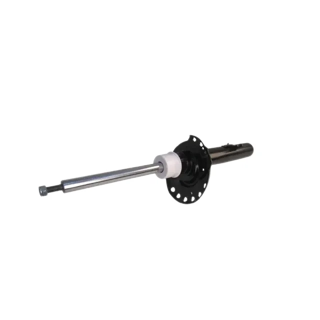 Professional Air Suspension Shock Absorber Rear Left And Right For Land ...
