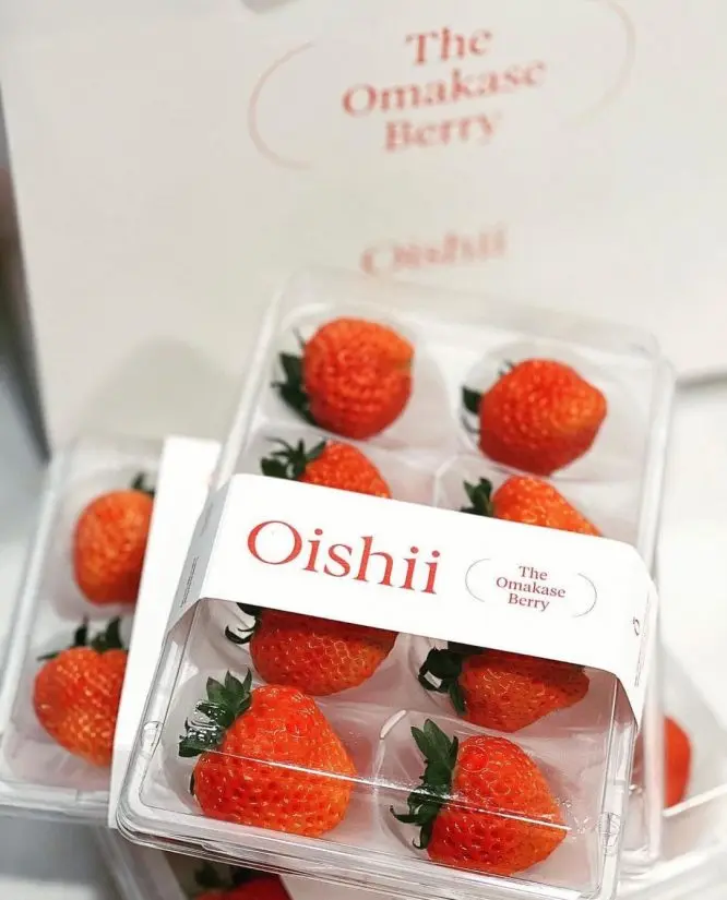 Wholesale Custom PET Clear Fruit Foam Tray 11,15, 20 Cells Packaging ...