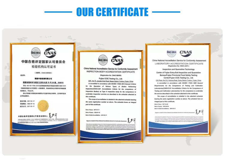 Express Logistic Services - Efficient Shipping Solutions