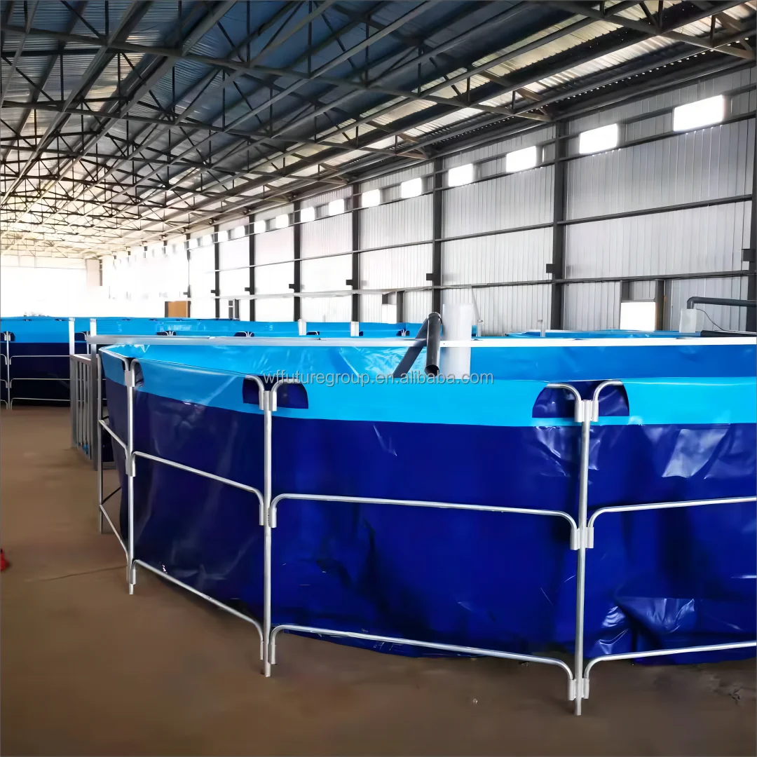 Above Ground Aquaculture - Efficient Fish Farming Solutions