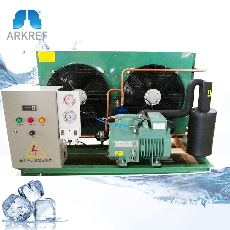 ARKREF R22 R404a Compressor Unit for Efficient Cold Storage