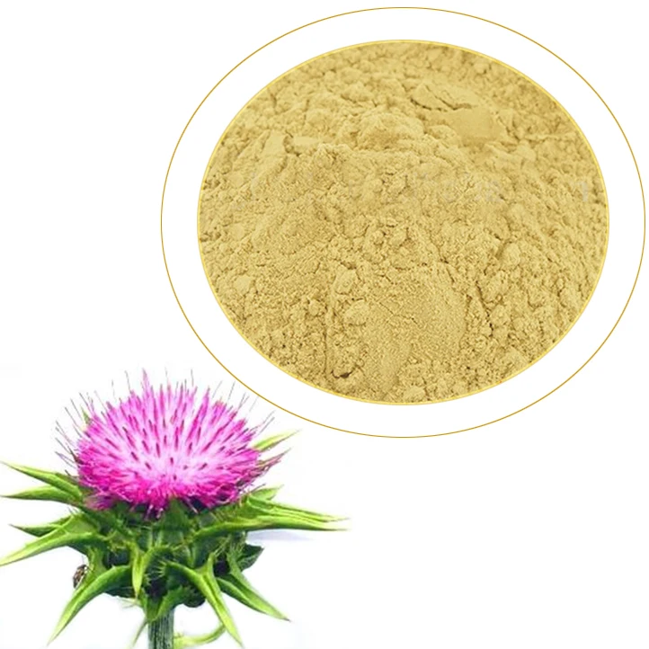 Silybum Marianum Milk thistle silybum marianum gaertn extract silibinin ...