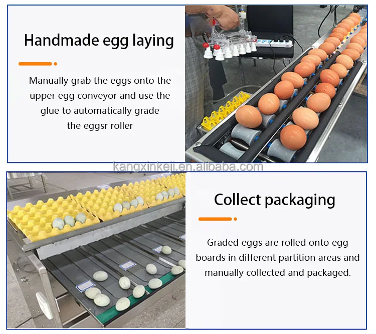 Table Top Grading Sorter Basic Sorting Kitchen Egg Grade Machine - Buy ...