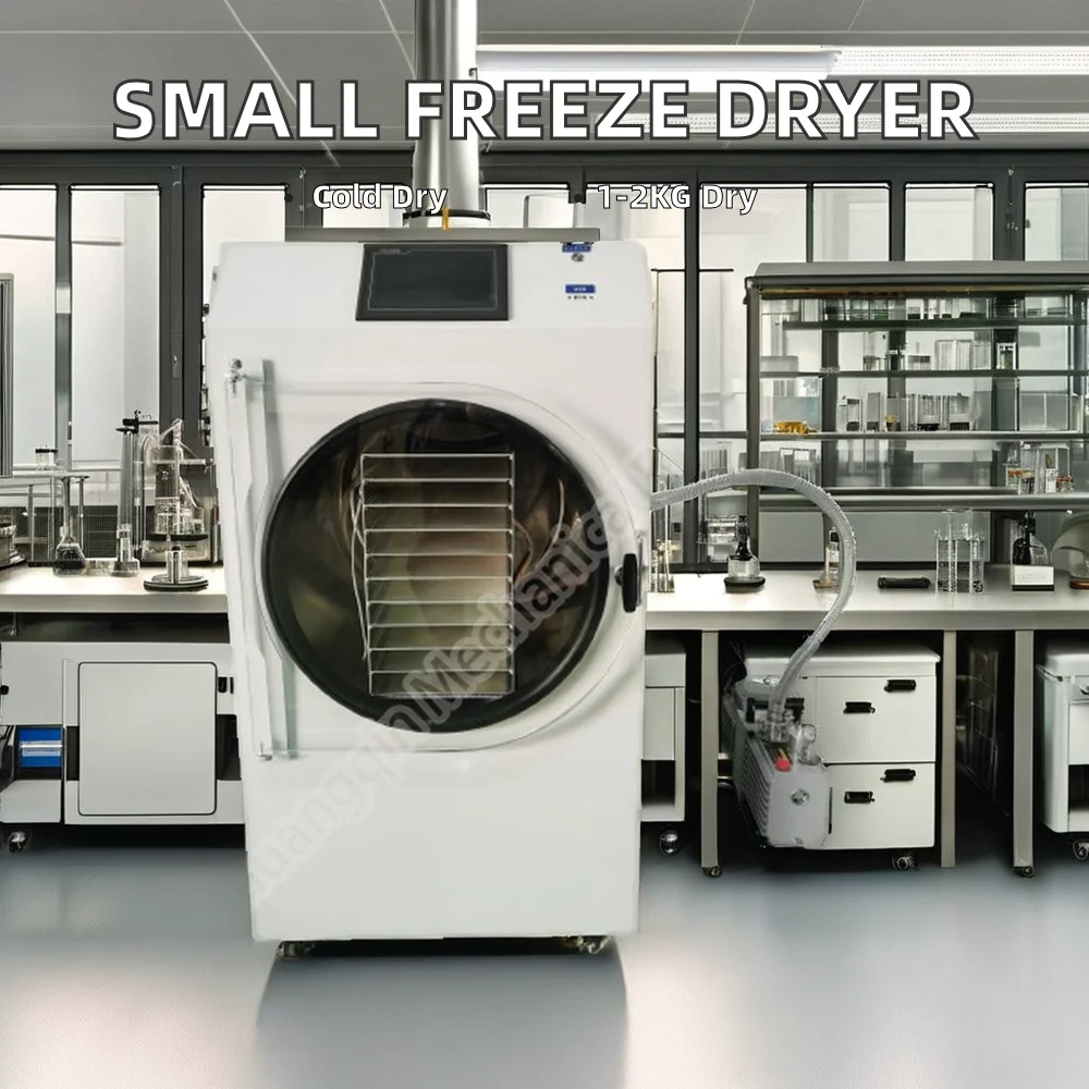 10kg Stainless Steel Freeze Dryer Machine Home Use Equipment Freeze ...