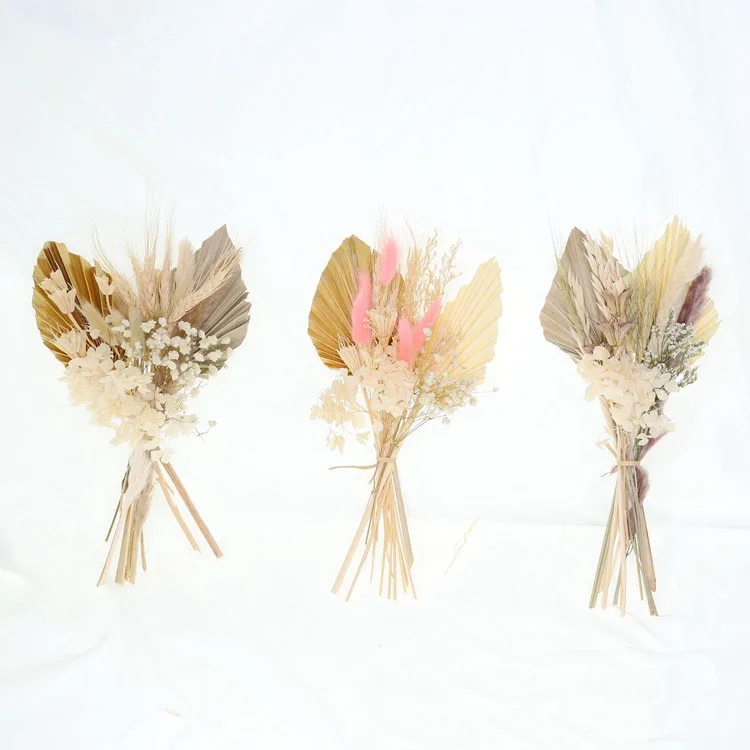 Pampas Grass Real Natural Pampas Grass Dried Flower Decor Pompous ...