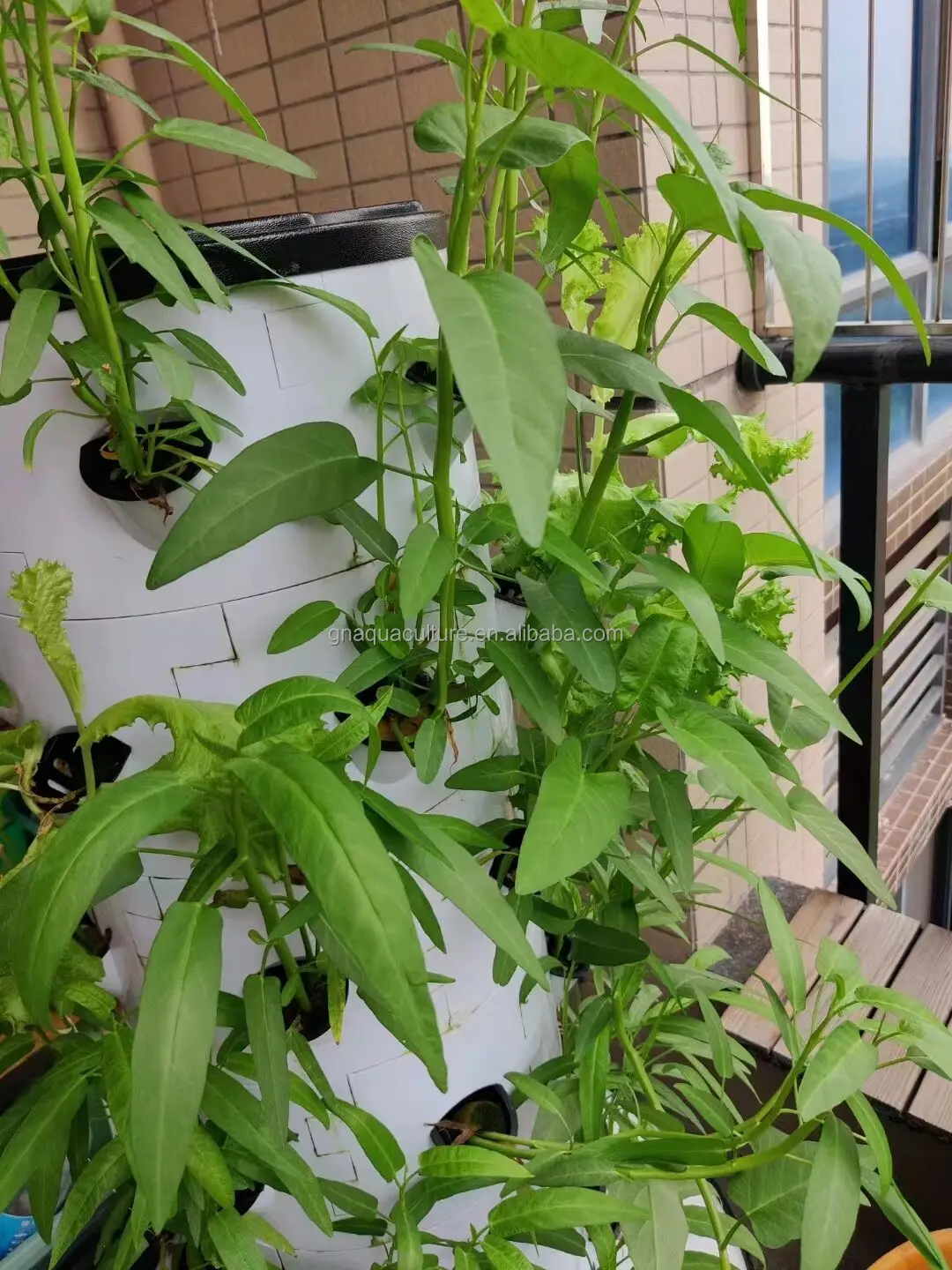 Vertical Hydroponic Growing Systems Tower Garden Strawberry System ... Vertical Hydroponic Growing Systems Tower Garden Strawberry System ...