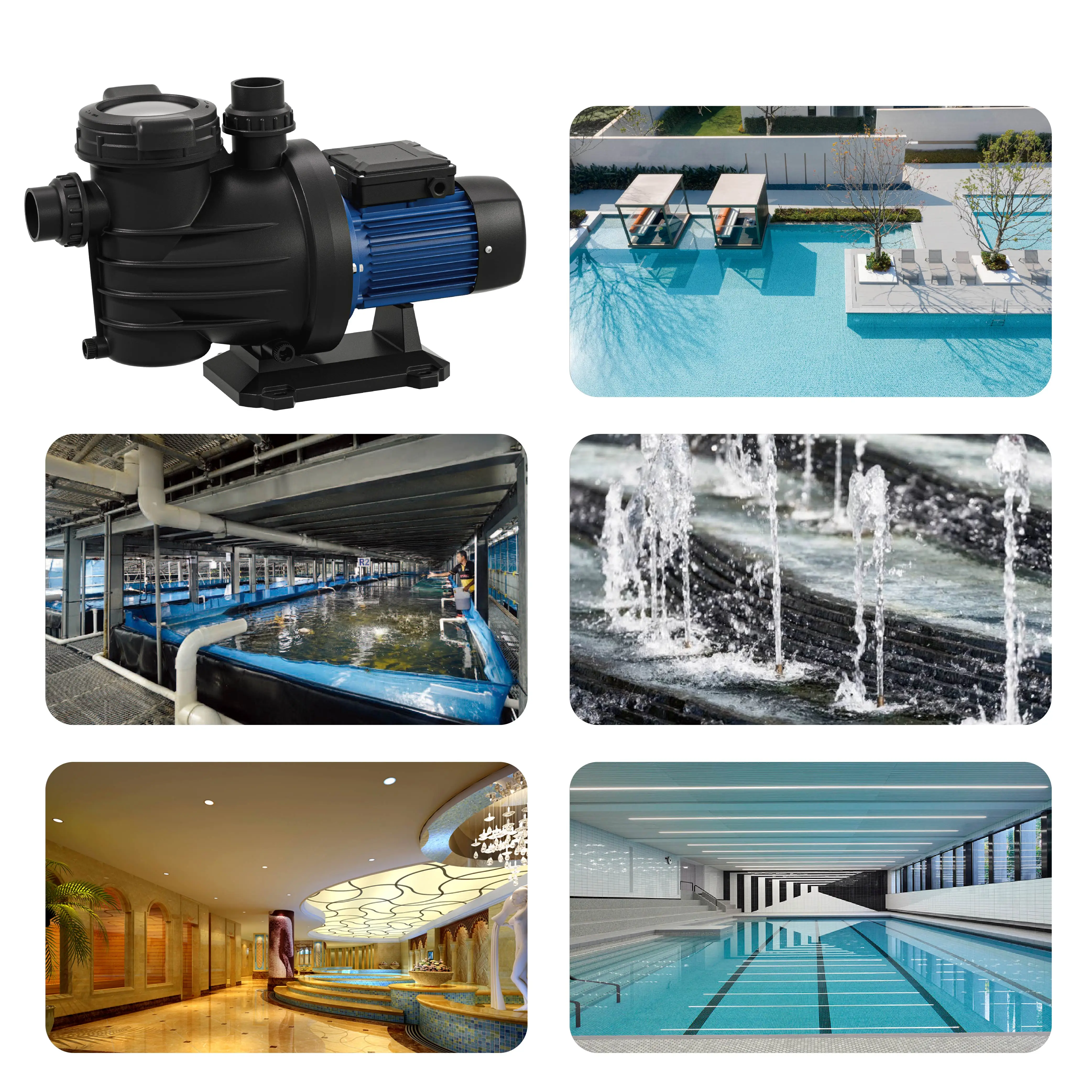Dayuan 230v 2hp Single-stage Circulation Pump For Inground Swimming ...