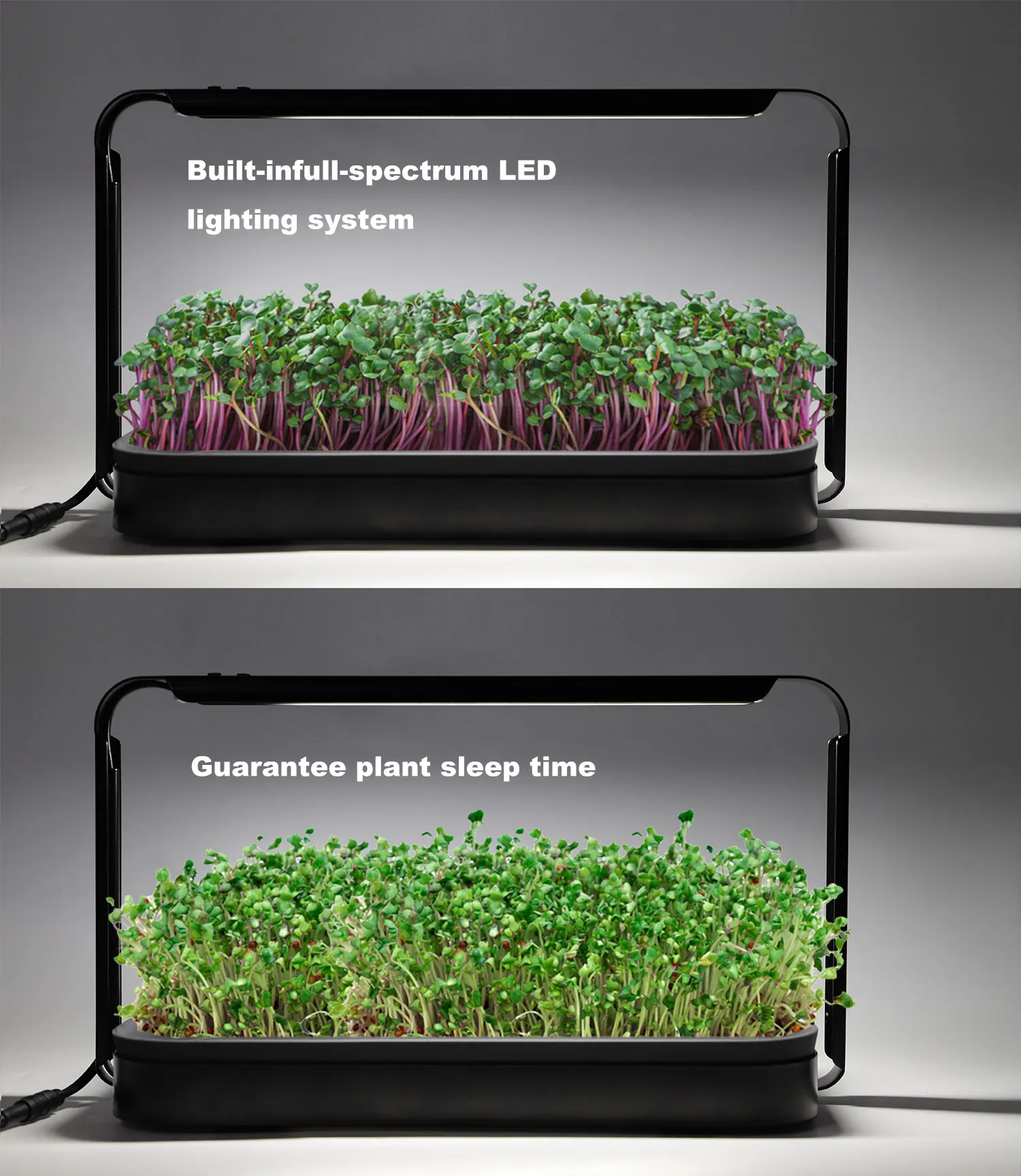 Planters Sprouts And Microgreens Herbs Grow Germination Kits Smart ...