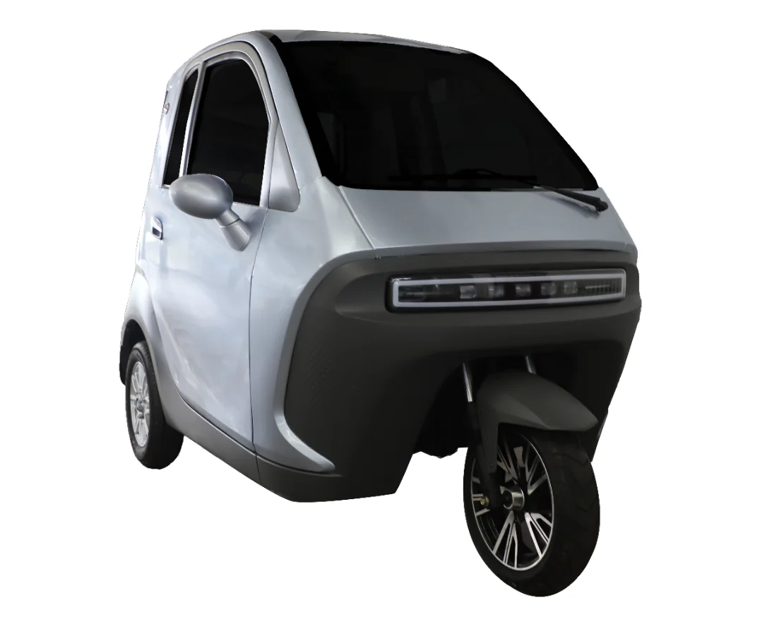Mini 3 Wheel Electric Trike - XGP X500D Passenger Van