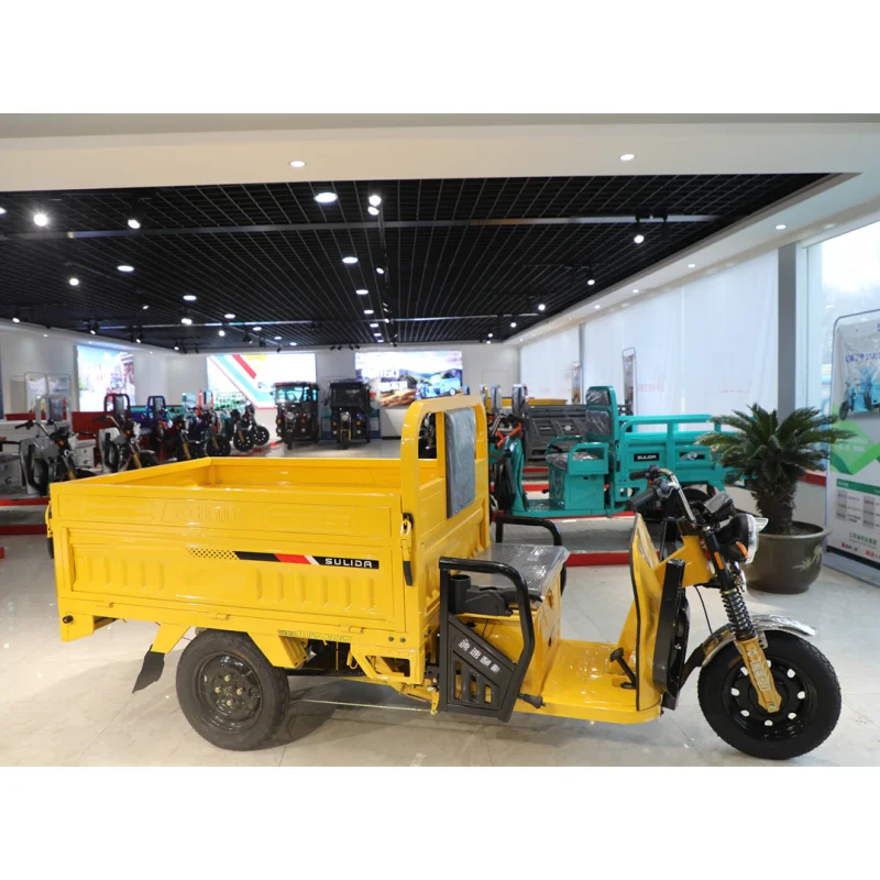 China Electric Three-wheel Truck 48v 800w Vehicle Box 1.5m Electric ...