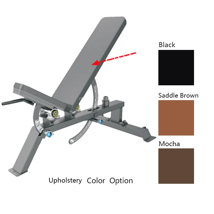 DHZ Gym Equipment E3039 Super Bench - Eco-Friendly & Durable