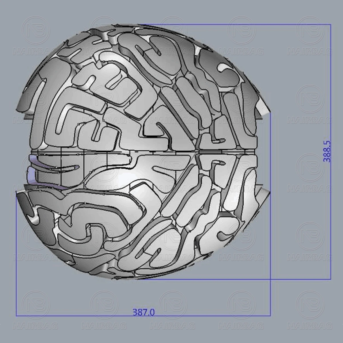 Large Inflatable Brain Tunnel - Perfect for Medical Exhibitions