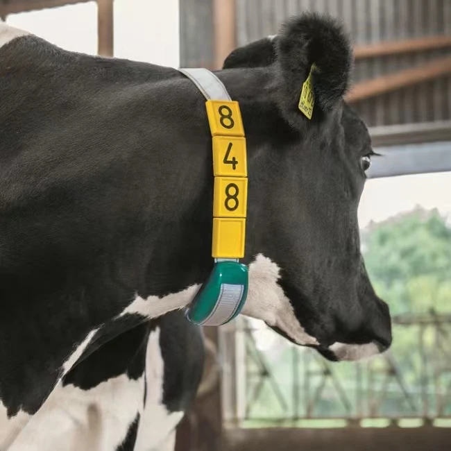 Farm Livestock Animal Identification Adjustable Cattle Neck Straps Cow ...