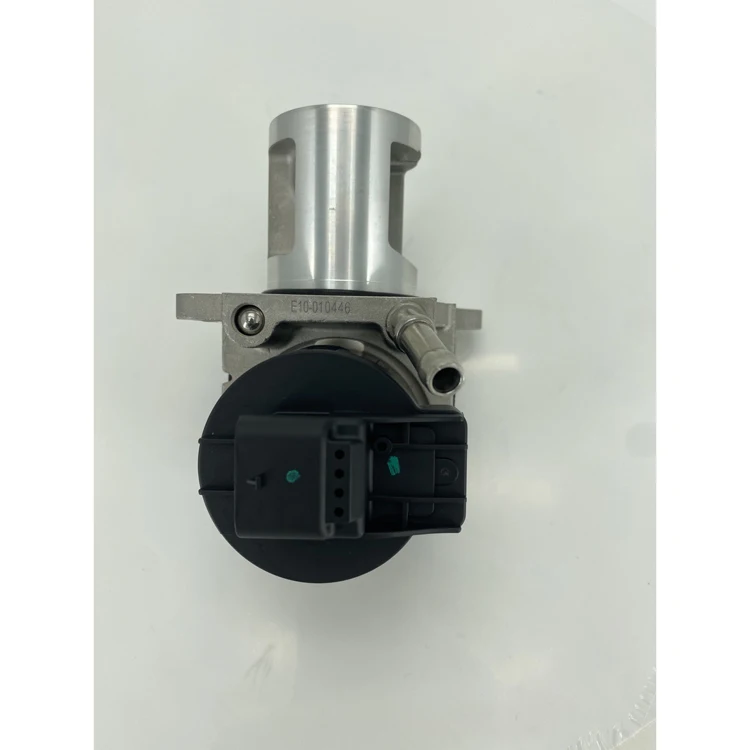 Egr Valve For Merceedes-bennzs S-class Oem A6421401060,6421401060 ...