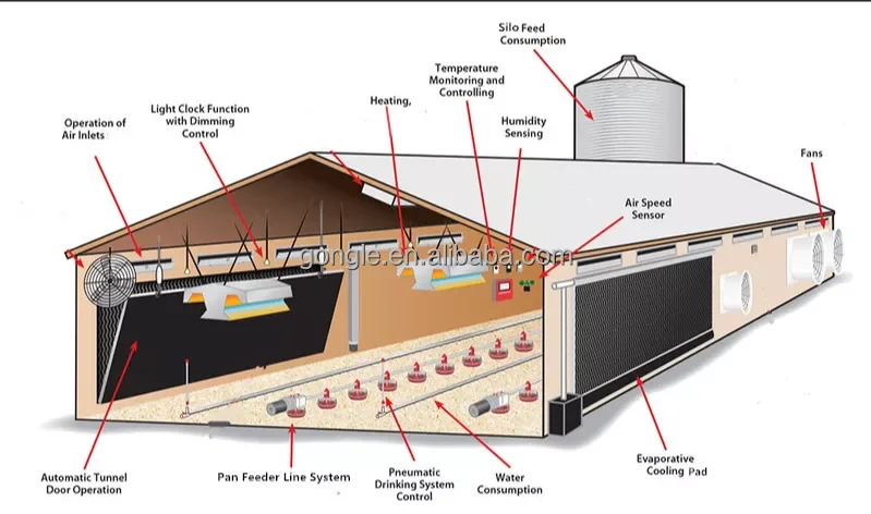 Automatic Poultry Farm Chicken House Broiler Feeding Line