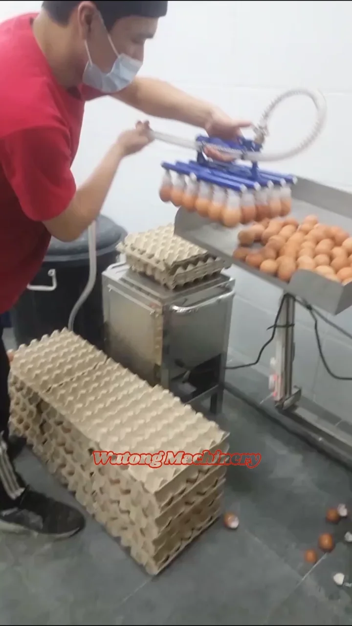 Vacuum Pump Lifter To Transfer Eggs Vacuum Egg Suction Lifter Machine - Buy Vacuum Eggs Moving ...