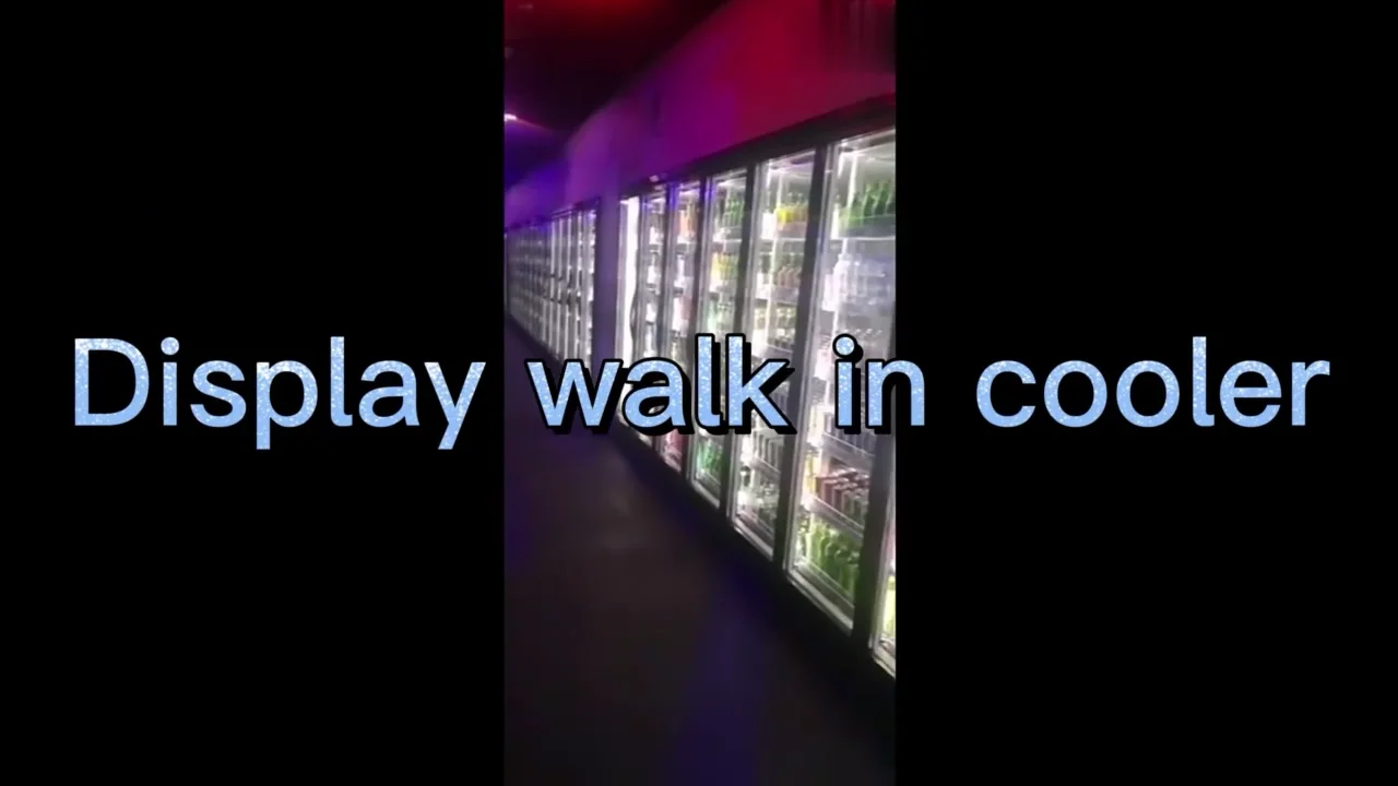 Commercial Glass Door Display Walk-in Cooler Refrigerator Freezer - Buy ...