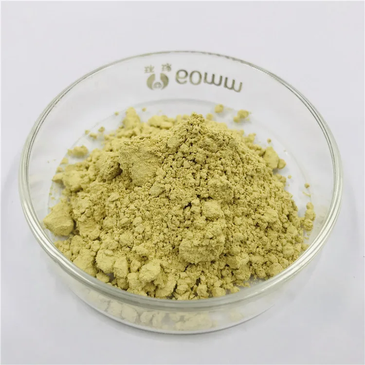 Bulk Broccoli Sprout Powder 1% Broccoli Seed Extract Powder ...