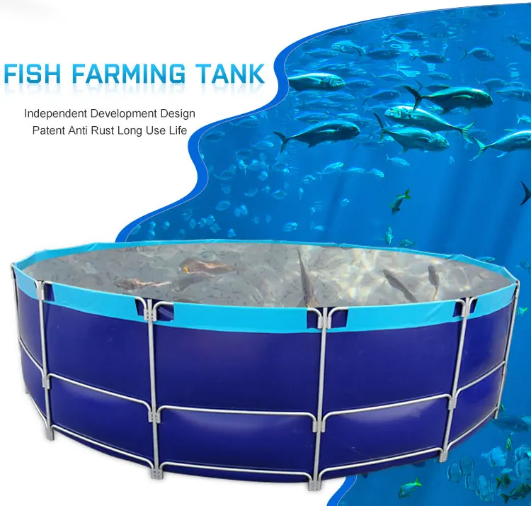 Biofloc Fish Farming - Efficient Pond Design Solutions