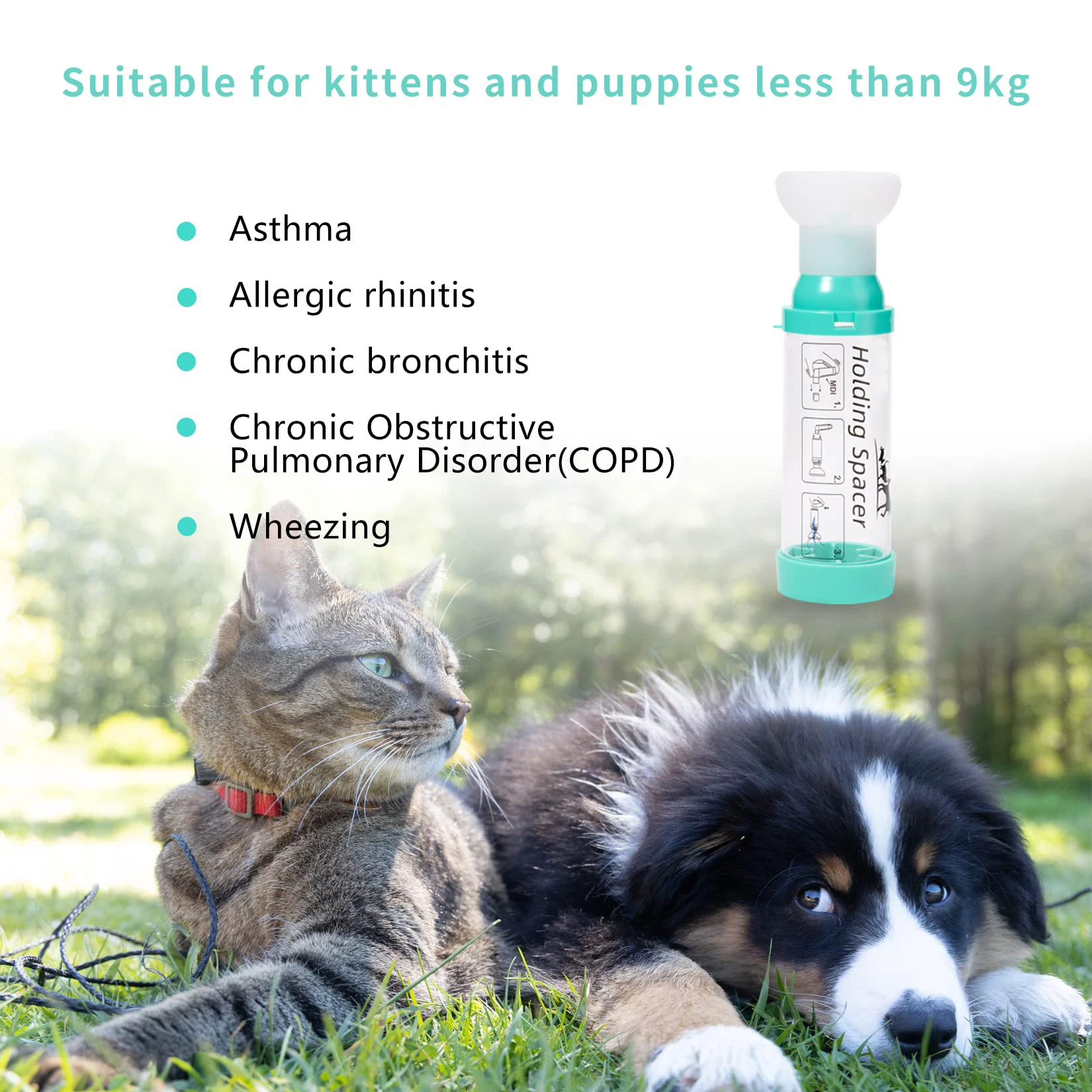 Aerosol Chamber Inhaler For Feline Exclusive Breathing - Helps Cats And ...