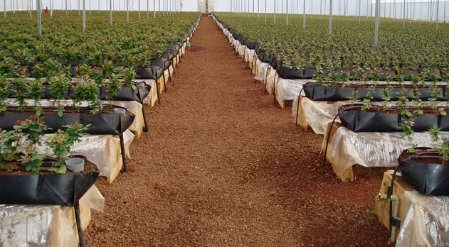 Unti-uv Soilless Growing Troughs - Hydroponic Solutions