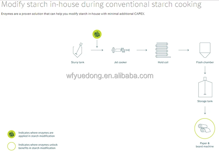 YD550 Starch Conversion Enzyme Biochemical Enzymes for Reducing Starch ...
