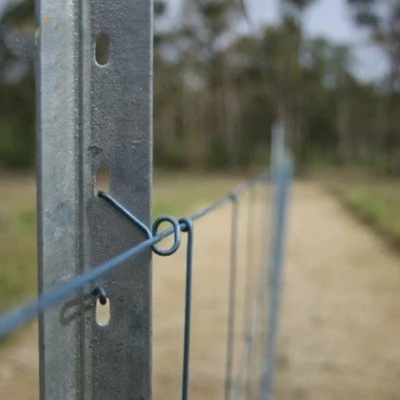 Field Fence Metal Y Post Star Picket Pilar 6FT| Alibaba.com